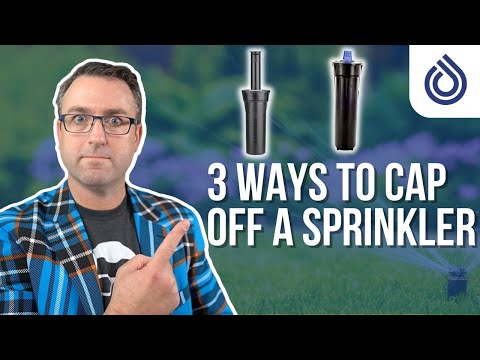 Hunter Pro Spray Shut-Off Cap (1-pack) - Pro-Spray Cap — Sprinkler ...